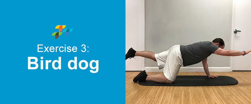 bird-dog-abs-exercise - Therapydia DC